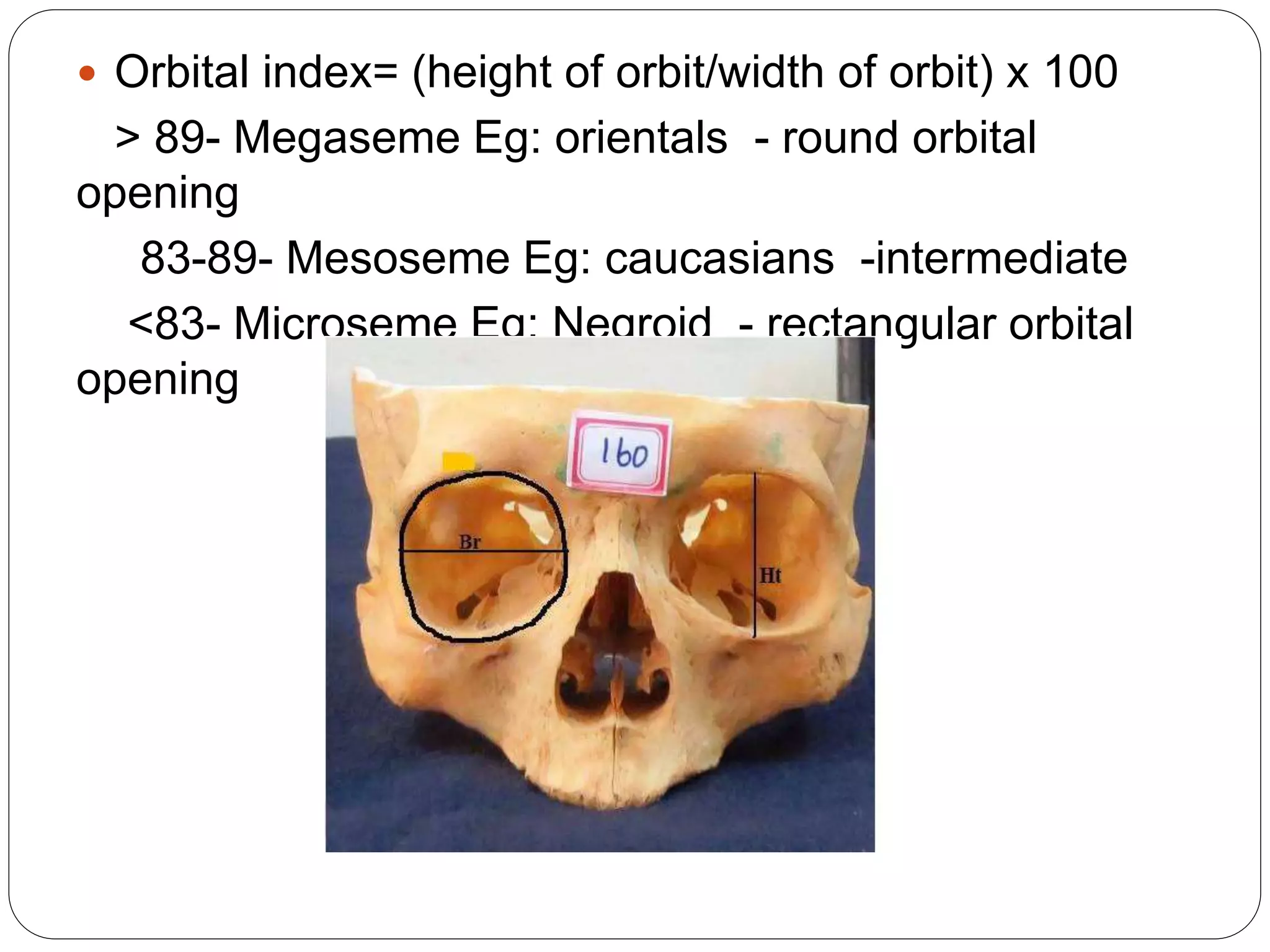 Anatomy of orbit | PPTX