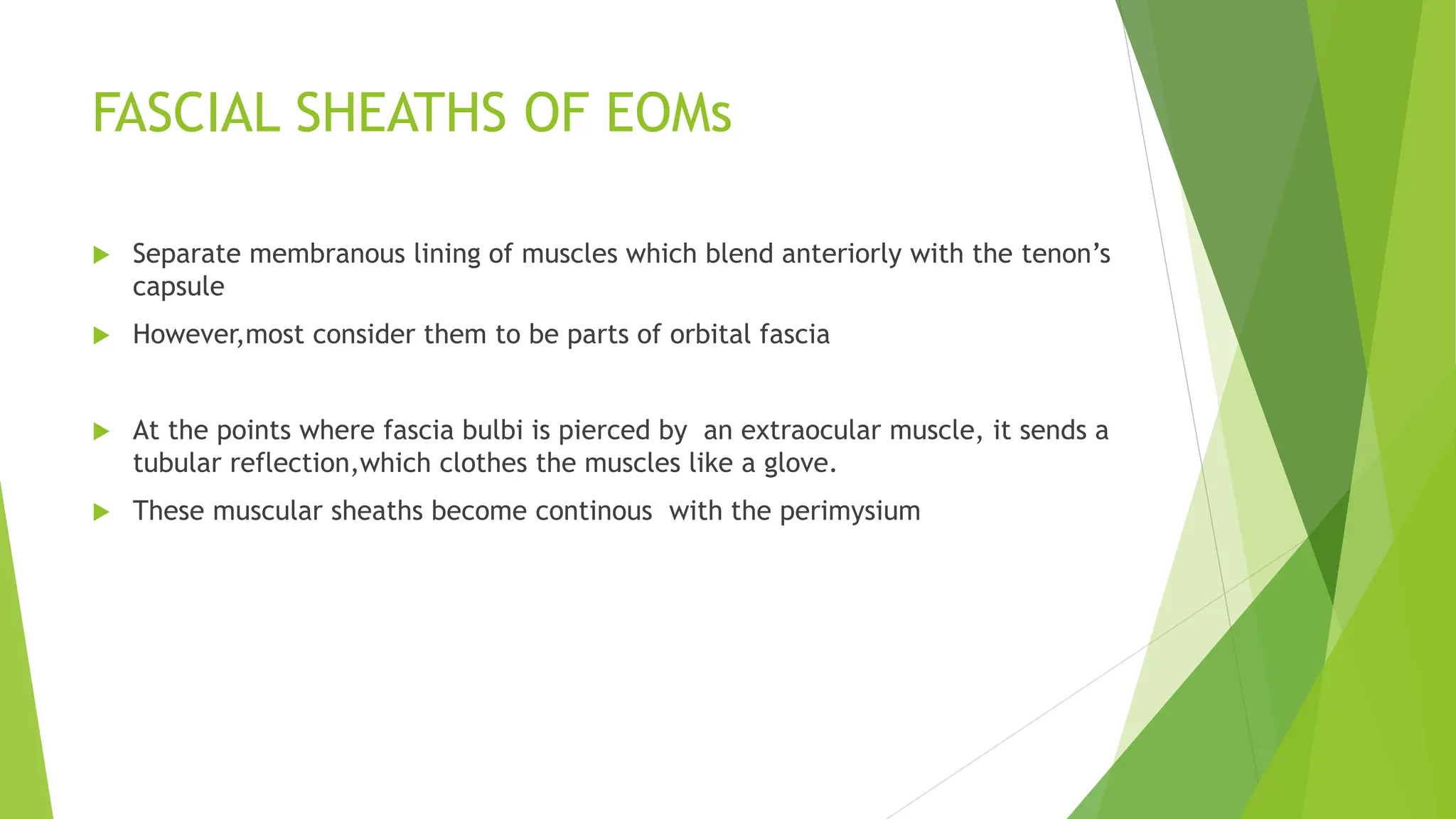 ANATOMY OF ORBIT.pptx anatomy of orbit ppt | PPTX