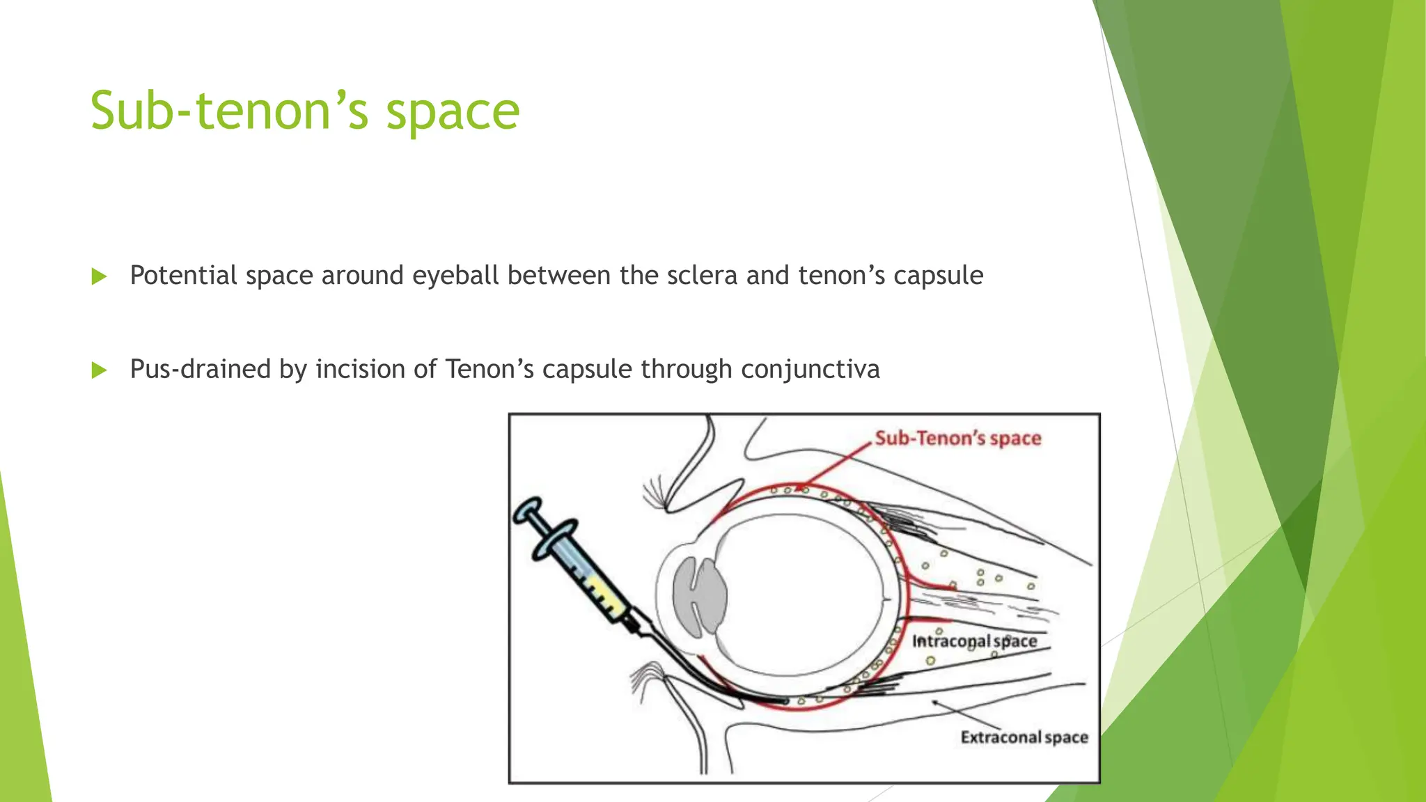 ANATOMY OF ORBIT.pptx anatomy of orbit ppt | PPTX