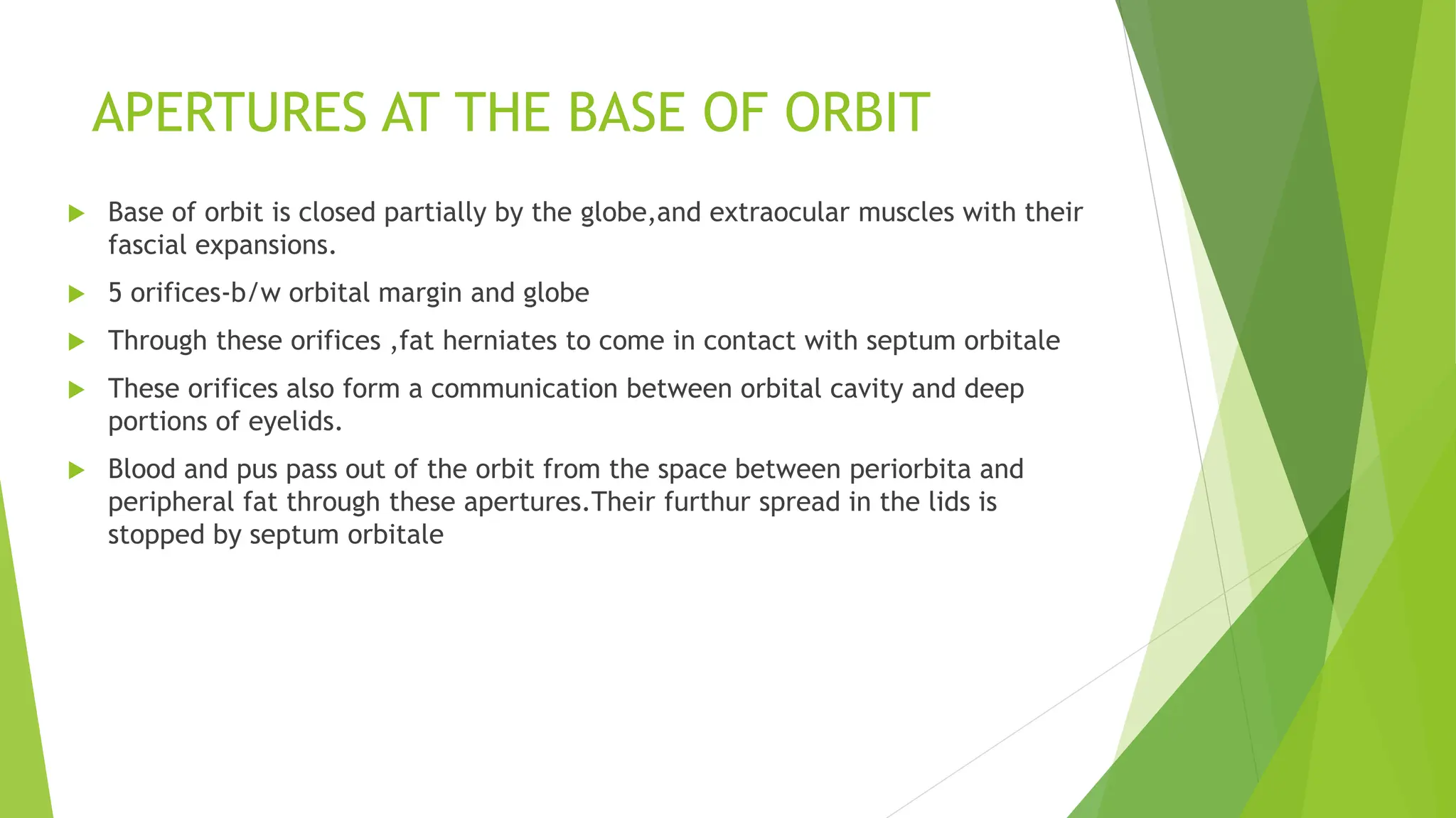ANATOMY OF ORBIT.pptx anatomy of orbit ppt | PPTX