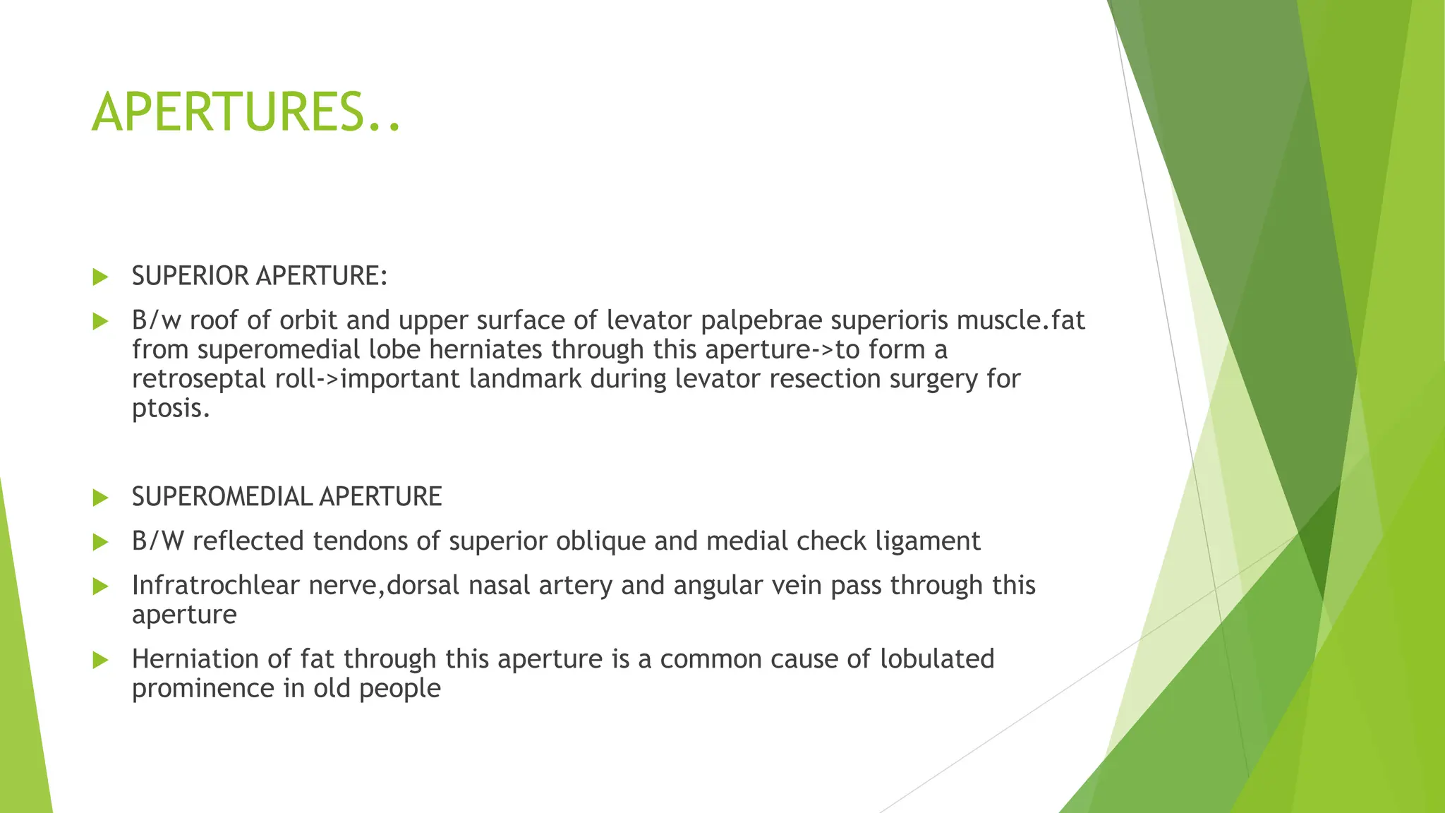 ANATOMY OF ORBIT.pptx anatomy of orbit ppt | PPTX