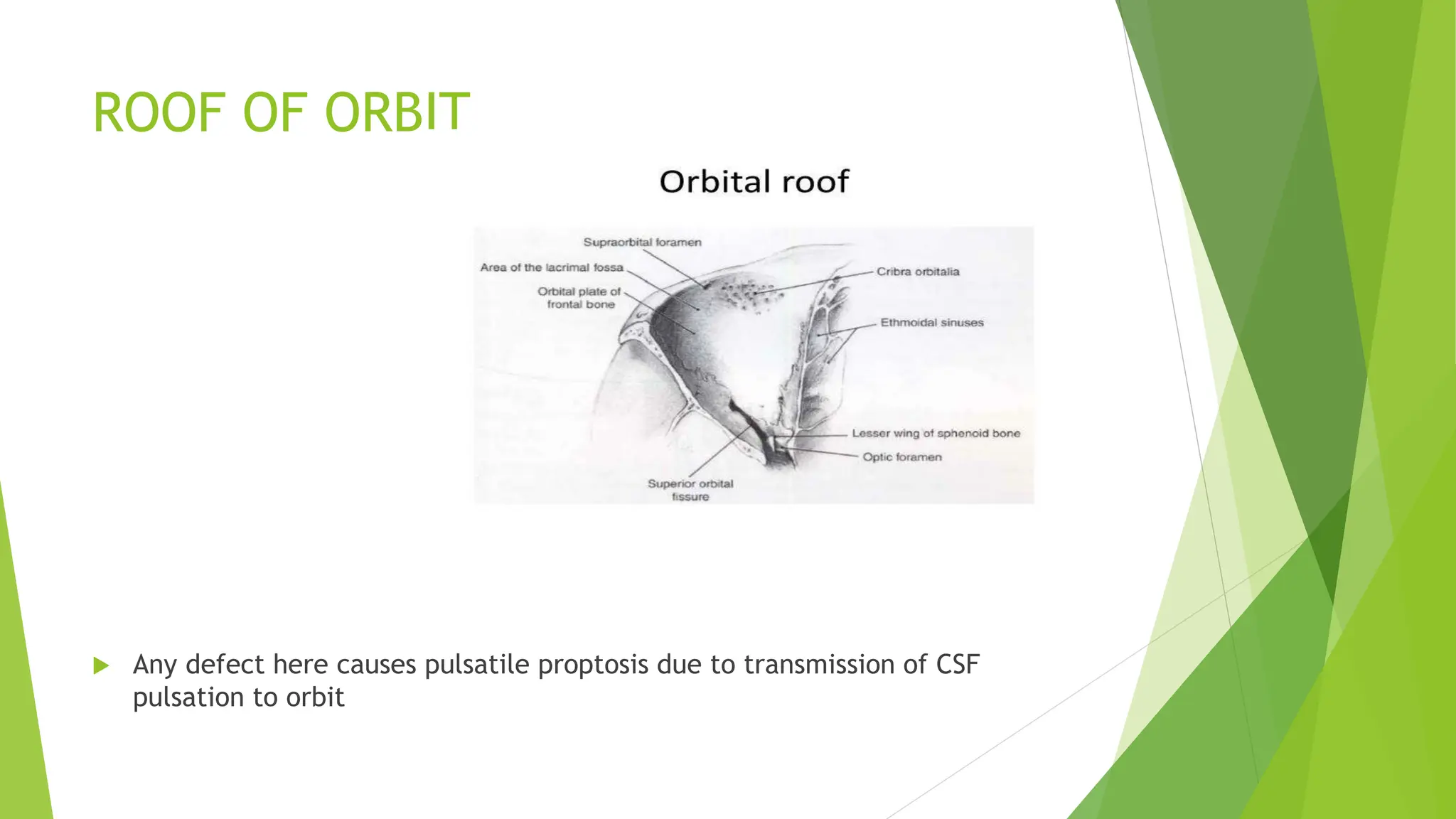 ANATOMY OF ORBIT.pptx anatomy of orbit ppt | PPTX