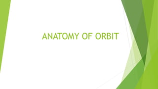 ANATOMY OF ORBIT.pptx anatomy of orbit ppt | PPTX