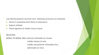 ANATOMY OF ORBIT.pptx anatomy of orbit ppt | PPTX