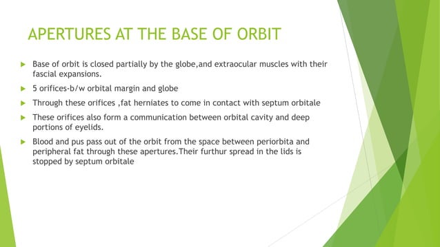 ANATOMY OF ORBIT.pptx anatomy of orbit ppt | PPT