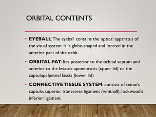 Anatomy of the orbit bones and muscles.pdf