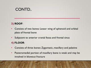 Anatomy of the orbit bones and muscles.pdf