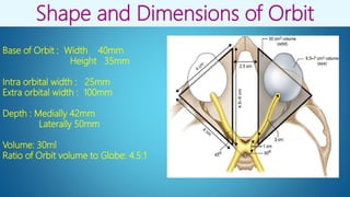 Anatomy of orbit by Dr.Prakash Bam | PPTX