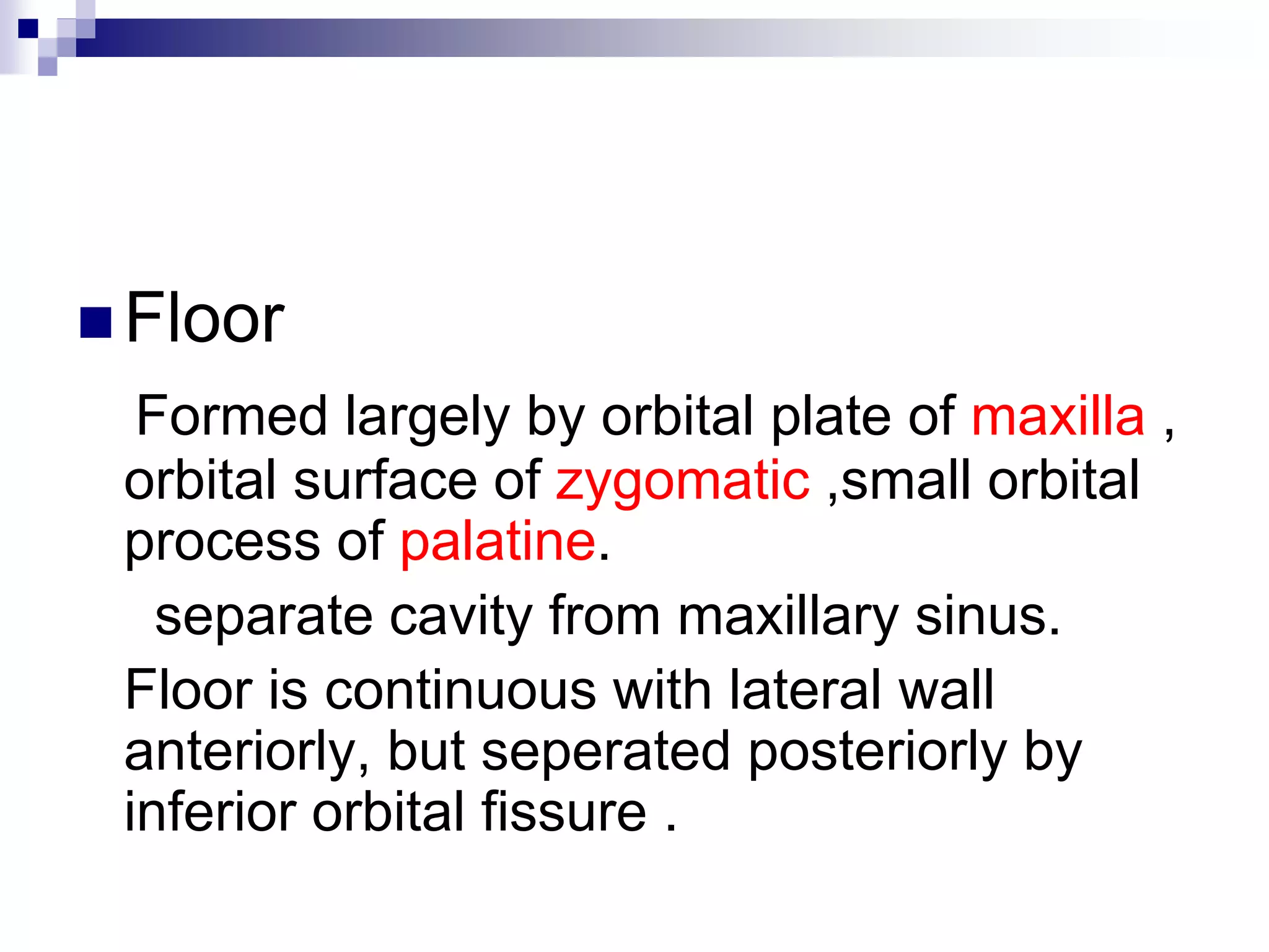 Anatomy of orbital cavity | PPT