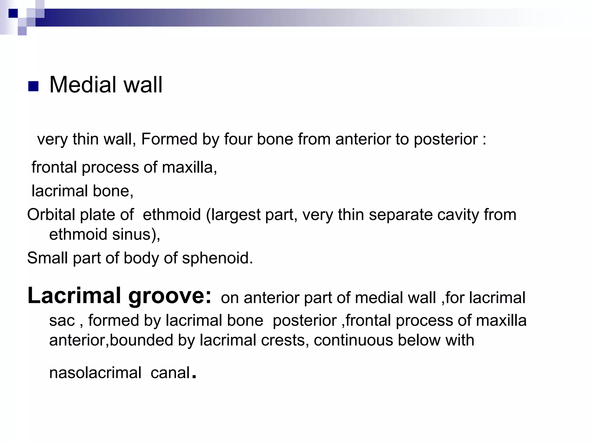 Anatomy of orbital cavity | PPT