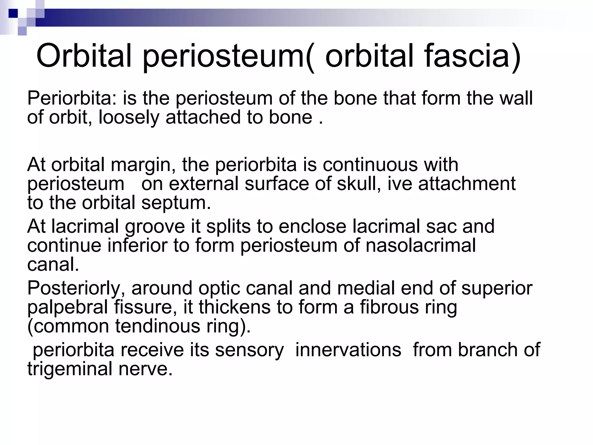 Anatomy of orbital cavity | PPT