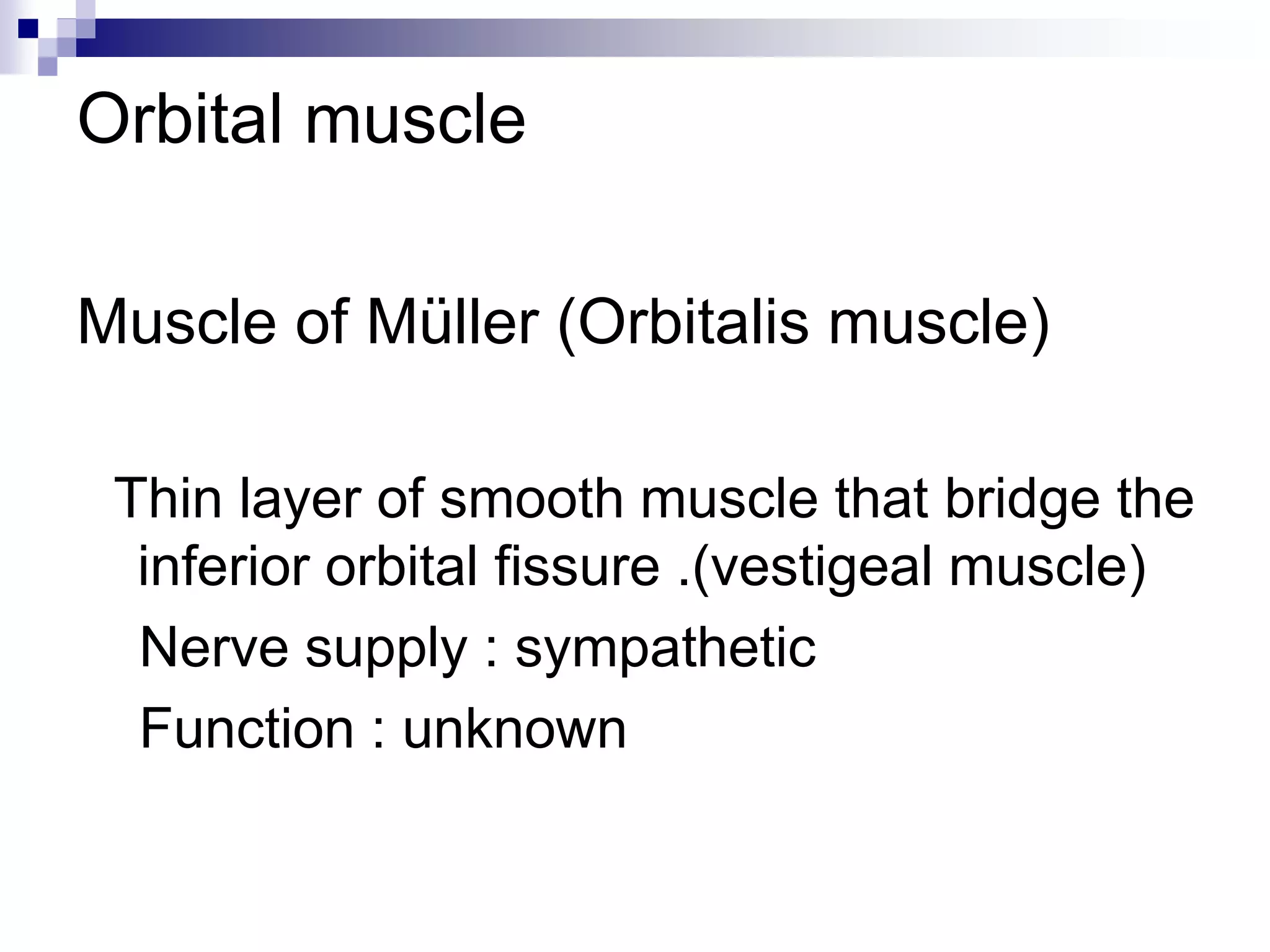 Anatomy of orbital cavity | PPT