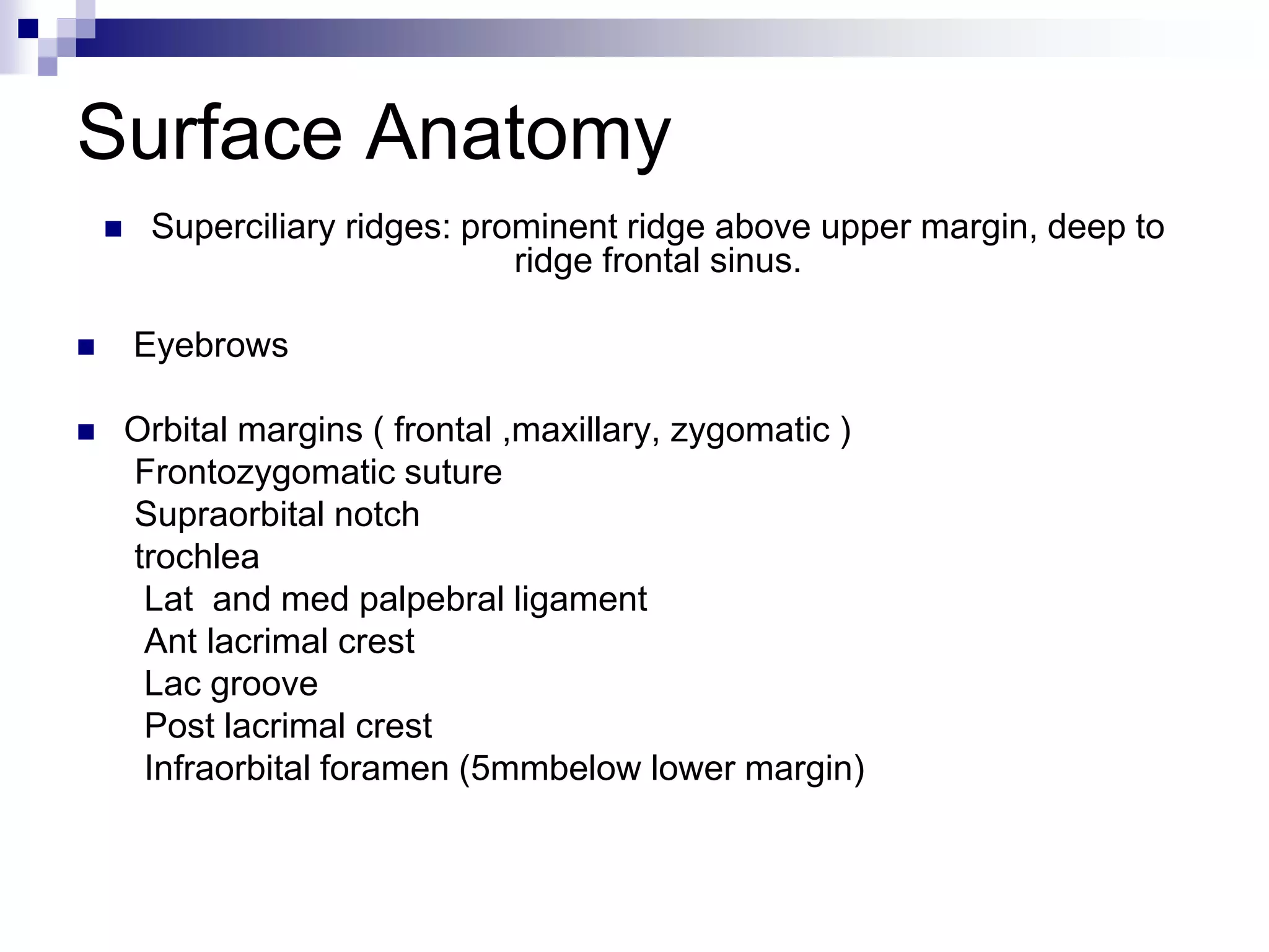 Anatomy of orbital cavity | PPT