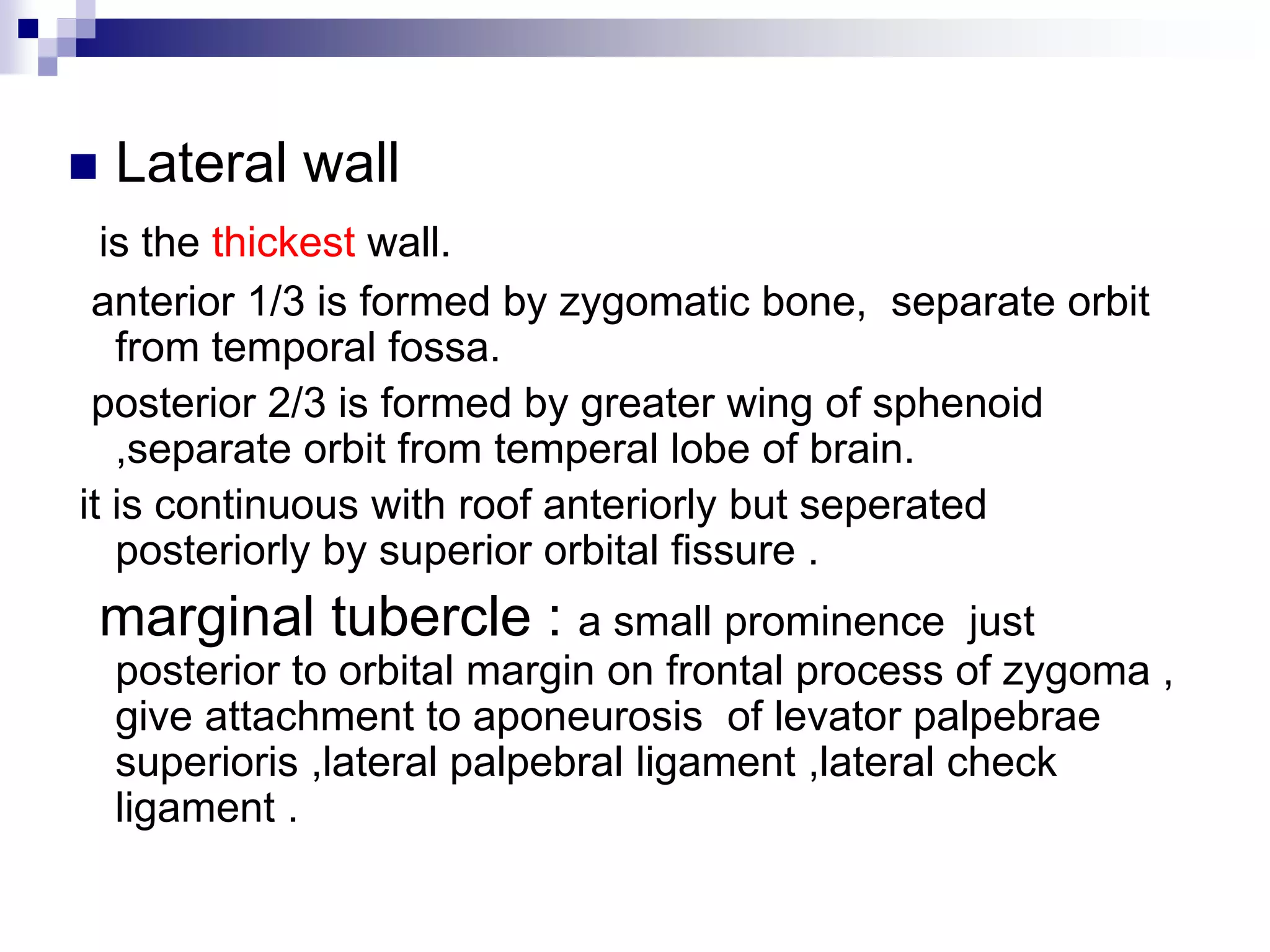 Anatomy of orbital cavity | PPT