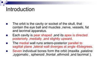 Anatomy of orbital cavity | PPT