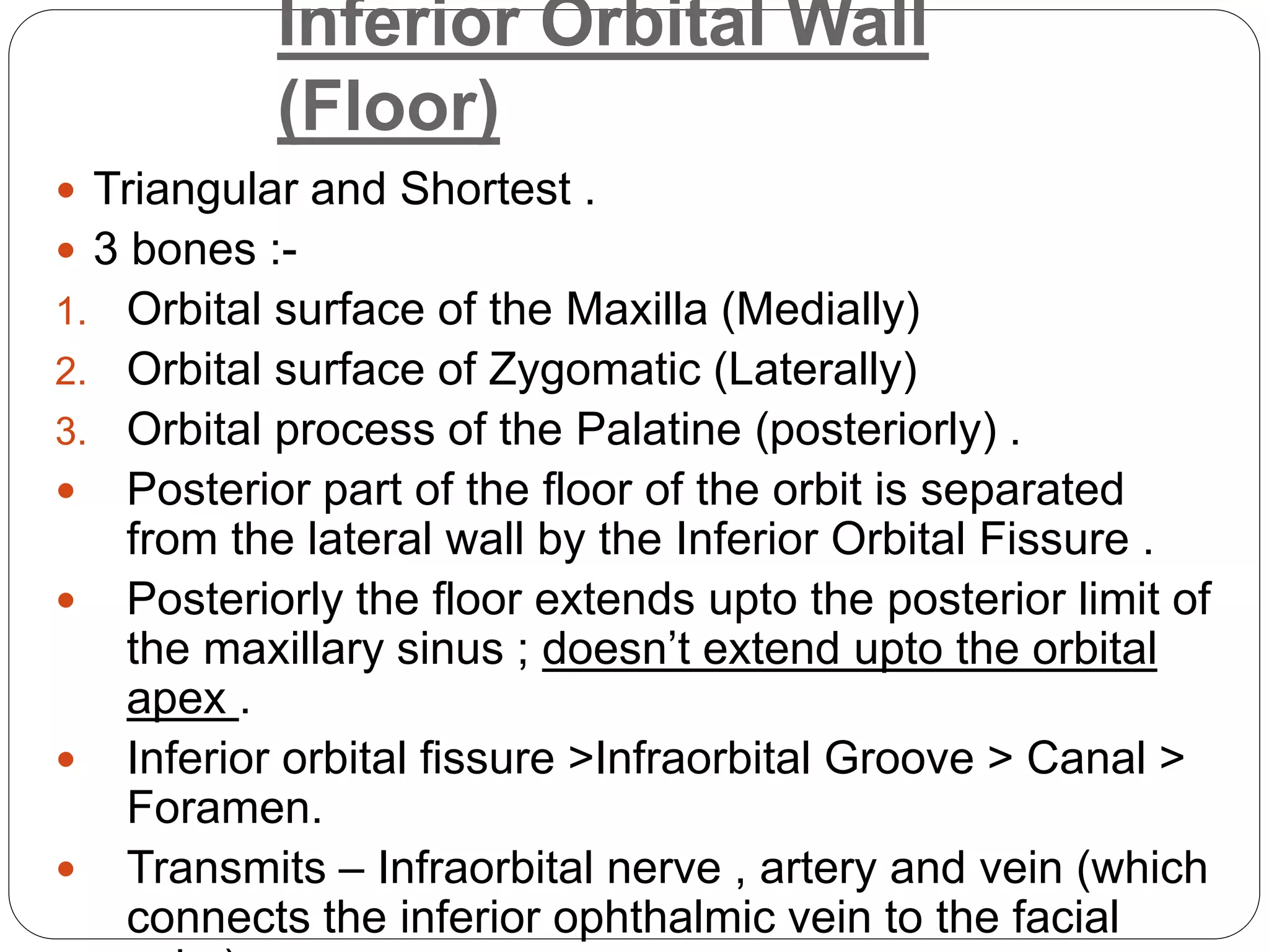 Anatomy of Orbit and its clinical importance | PPTX