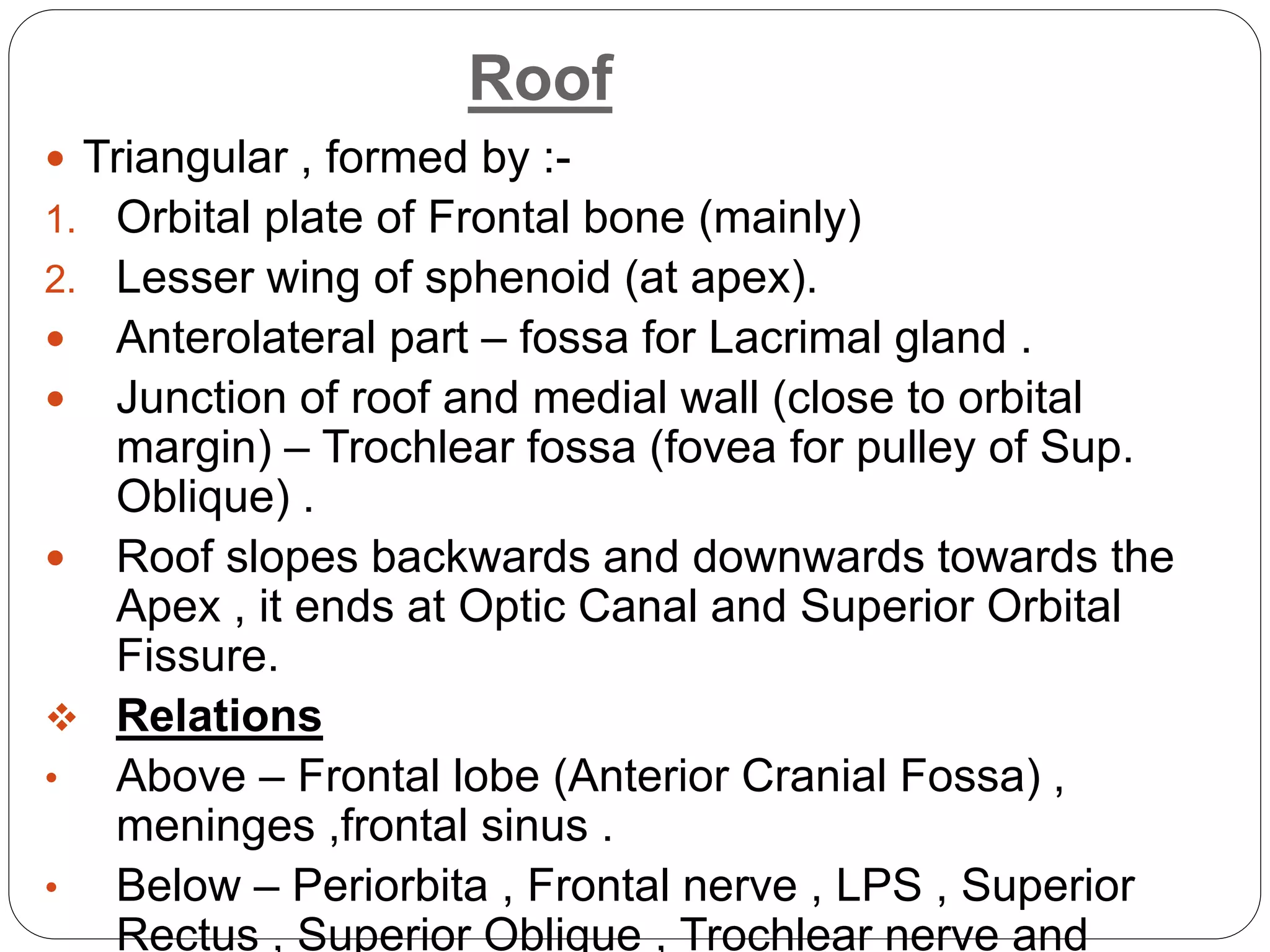 Anatomy of Orbit and its clinical importance | PPTX