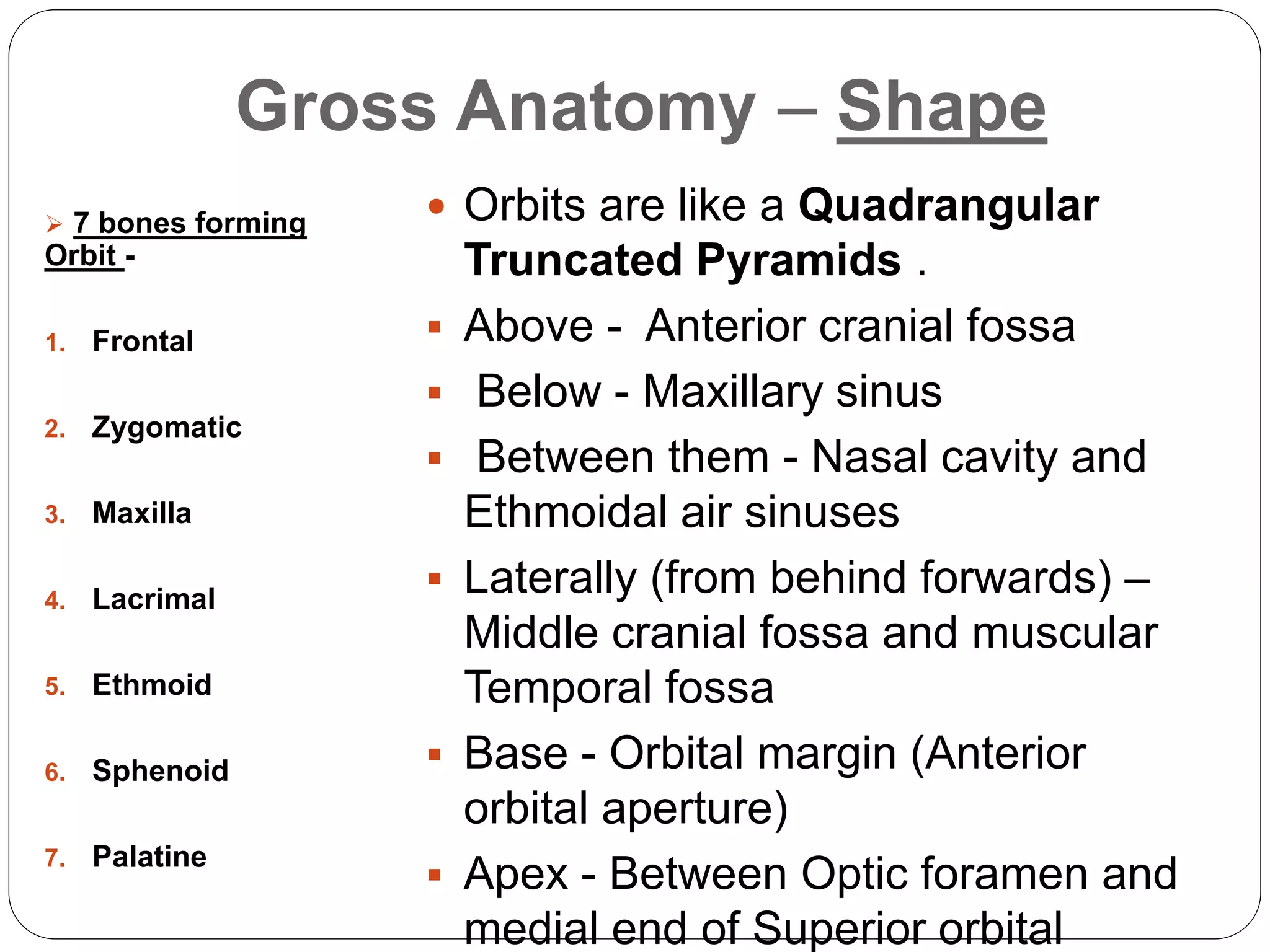 Anatomy of Orbit and its clinical importance | PPTX