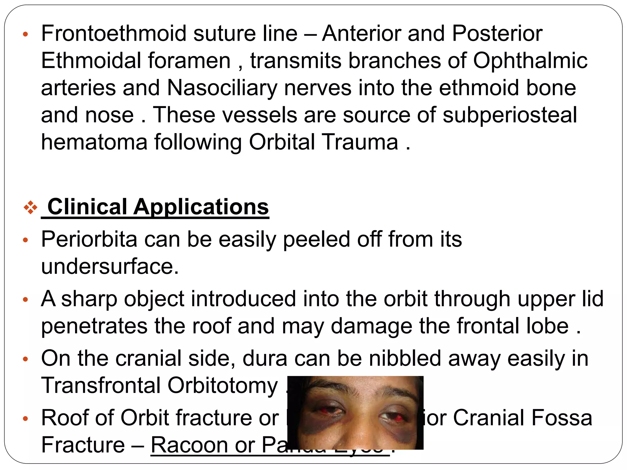 Anatomy of Orbit and its clinical importance | PPTX