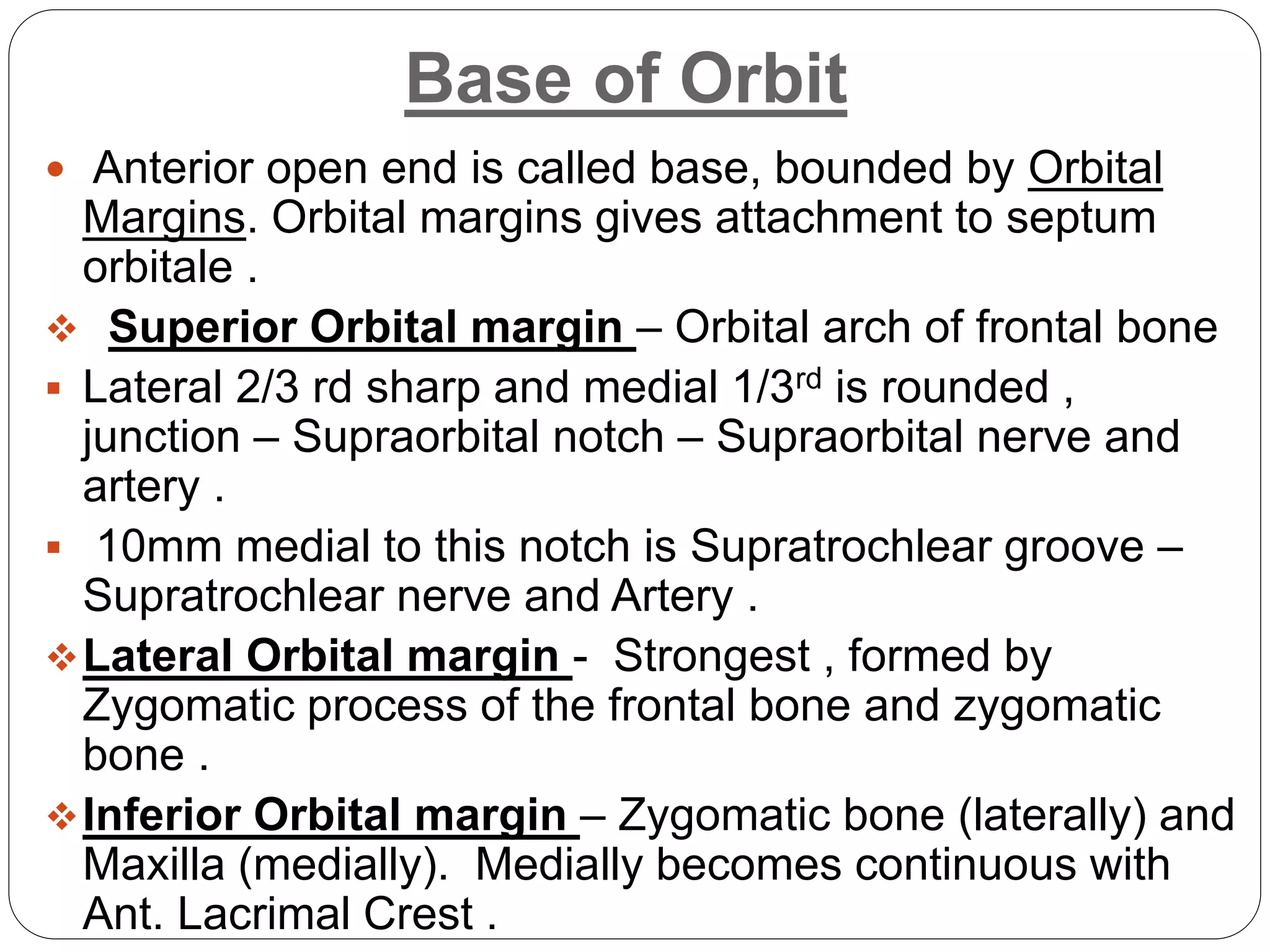 Anatomy of Orbit and its clinical importance | PPTX