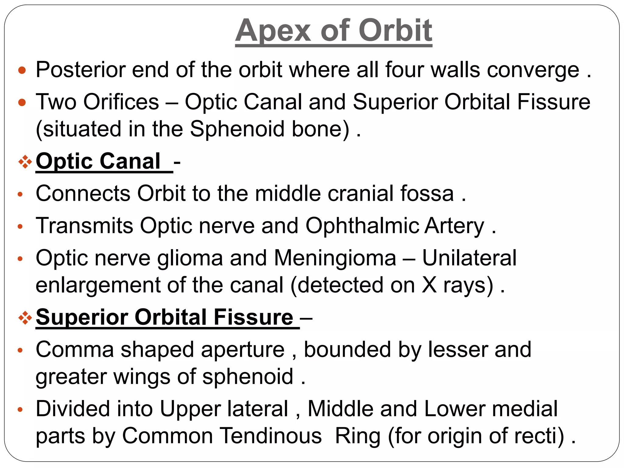 Anatomy of Orbit and its clinical importance | PPTX