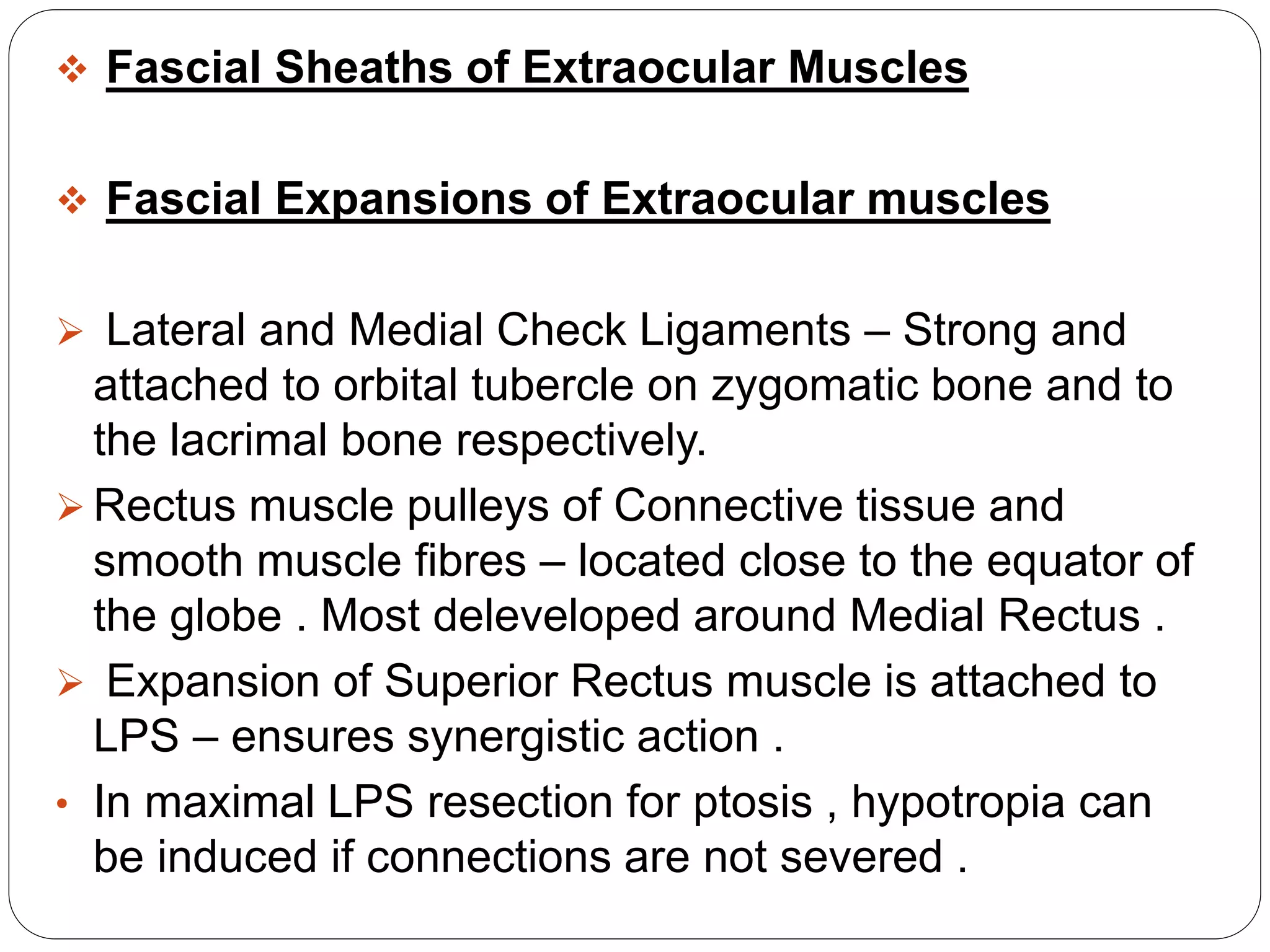 Anatomy of Orbit and its clinical importance | PPTX