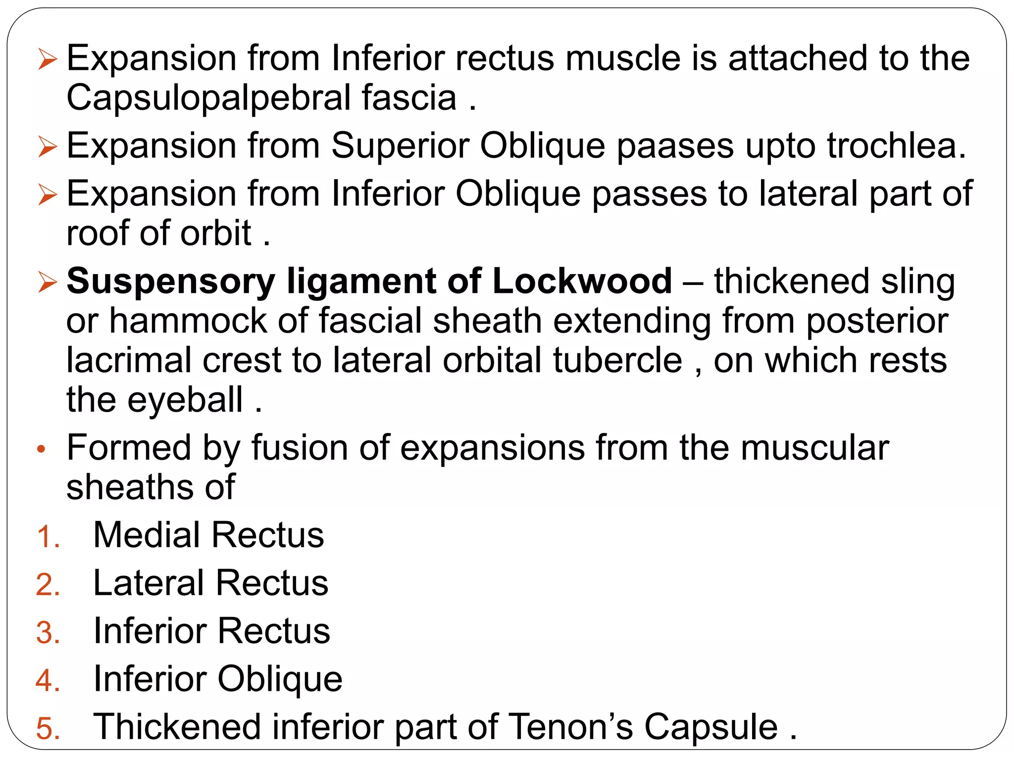 Anatomy of Orbit and its clinical importance | PPTX