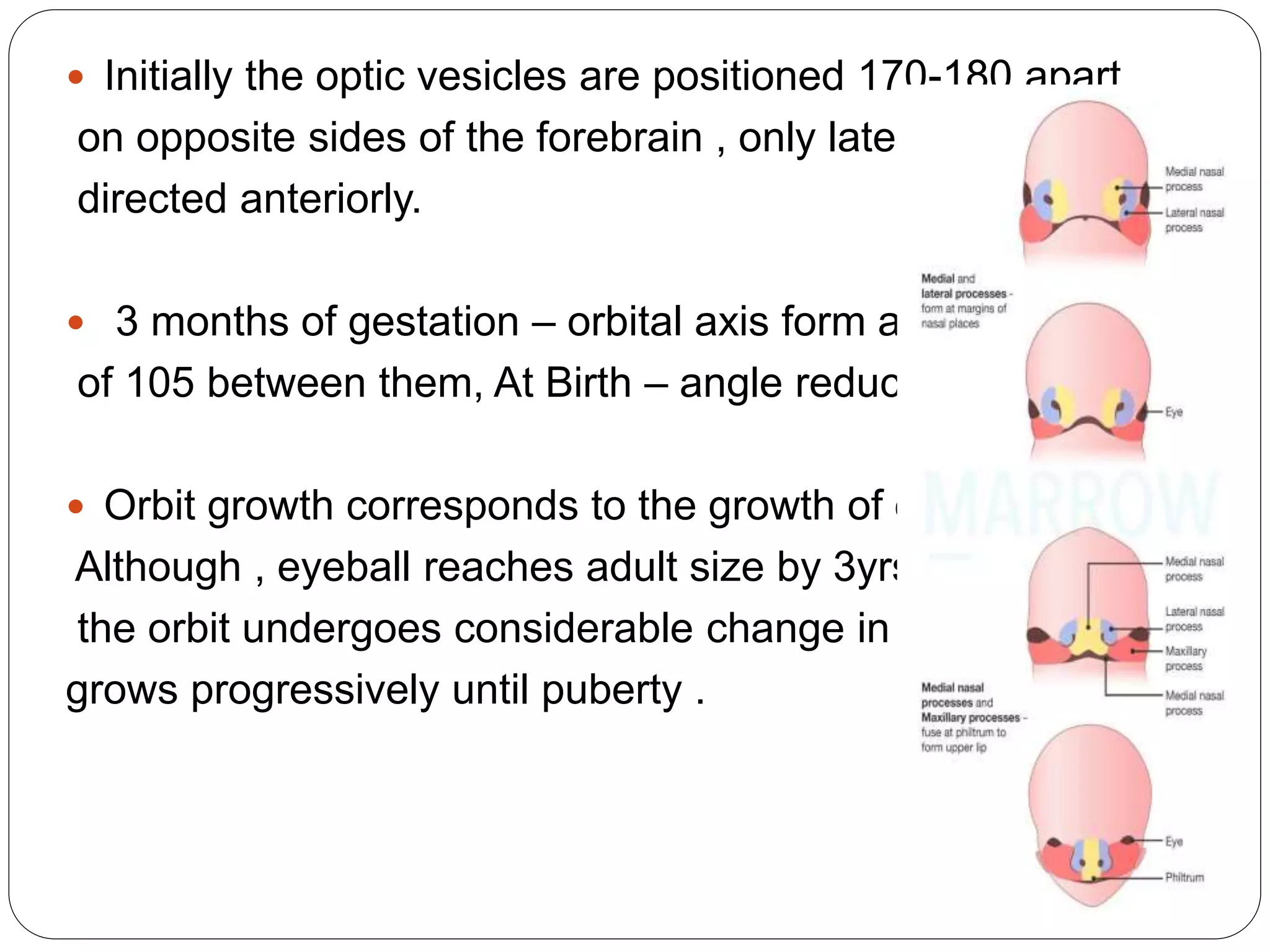 Anatomy of Orbit and its clinical importance | PPTX
