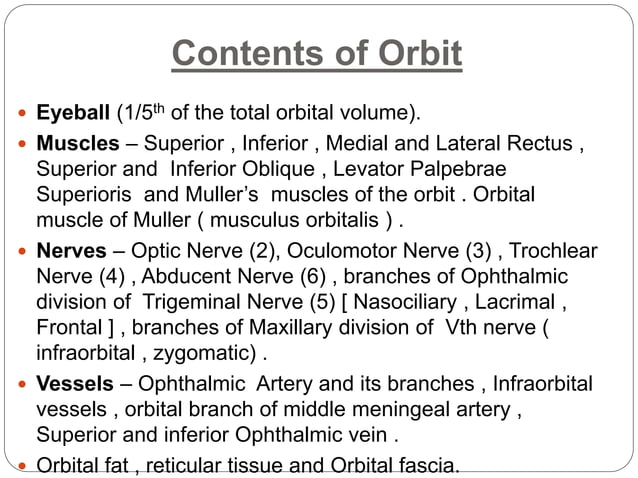 Anatomy of Orbit and its clinical importance | PPTX | Ear, Nose and ...