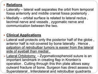 Anatomy of Orbit and its clinical importance | PPTX