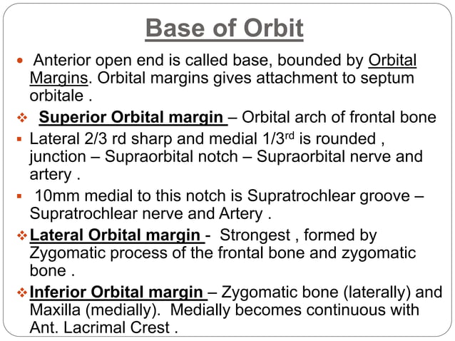 Anatomy of Orbit and its clinical importance | PPTX | Ear, Nose and ...