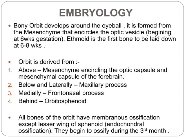 Anatomy of Orbit and its clinical importance | PPTX | Ear, Nose and ...