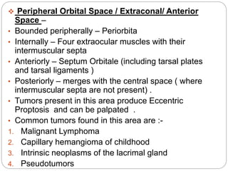 Anatomy of Orbit and its clinical importance | PPTX
