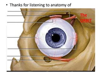 Anatomy of orbit by pushkar dhir | PPT