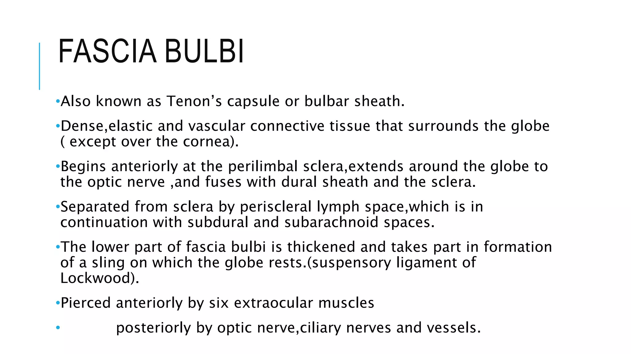 Anatomy of orbit ophthalm | PPTX