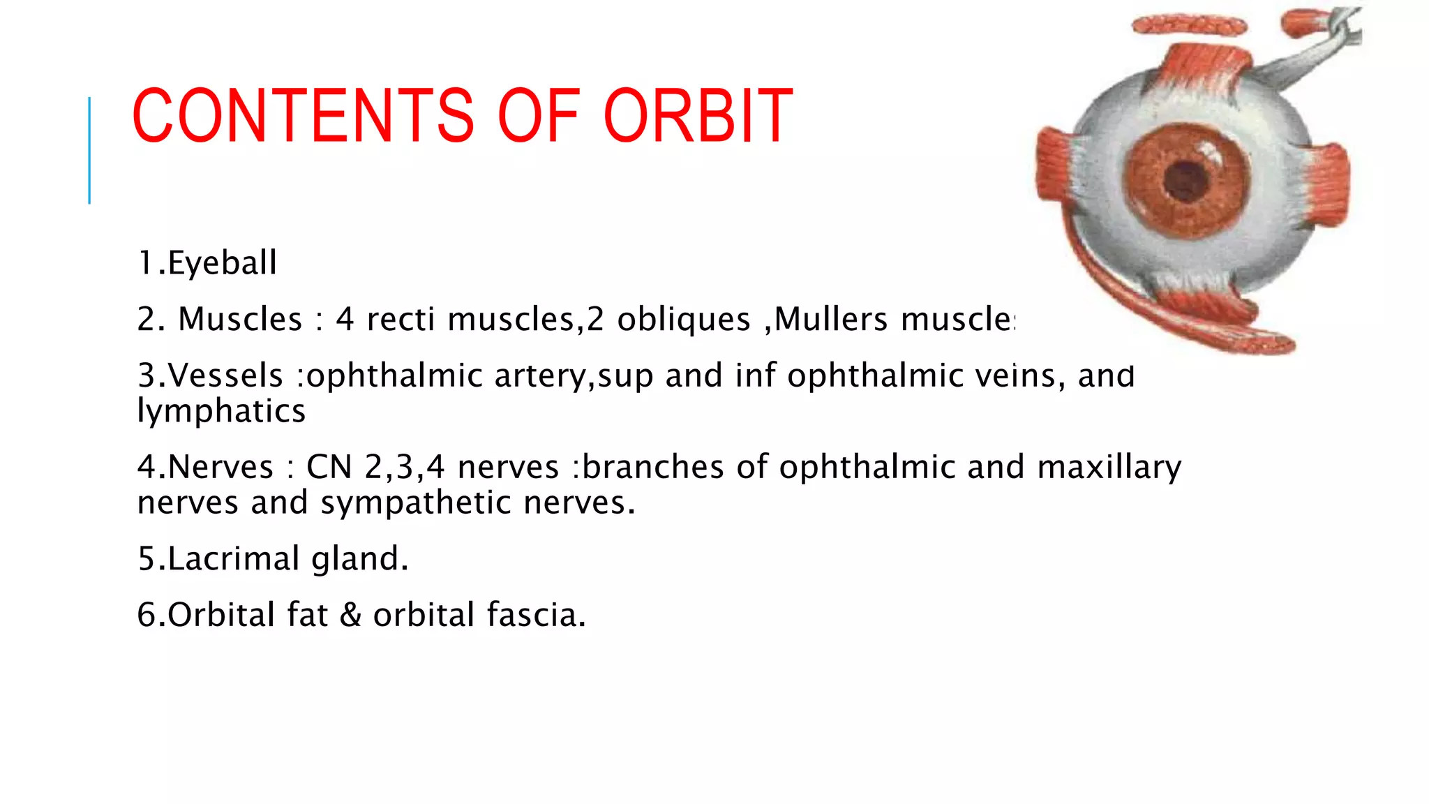 Anatomy of orbit ophthalm | PPTX