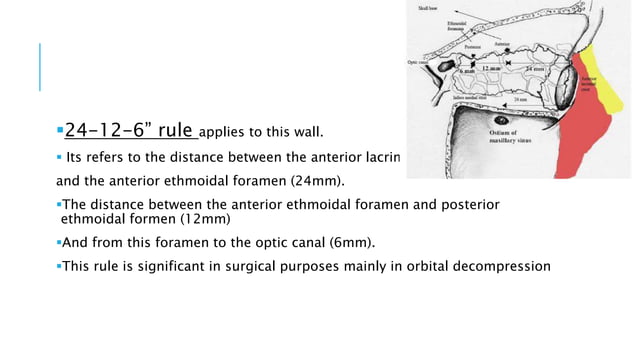 Anatomy of orbit ophthalm | PPTX