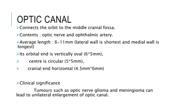 Anatomy of orbit ophthalm | PPTX