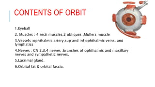 Anatomy of orbit ophthalm | PPTX