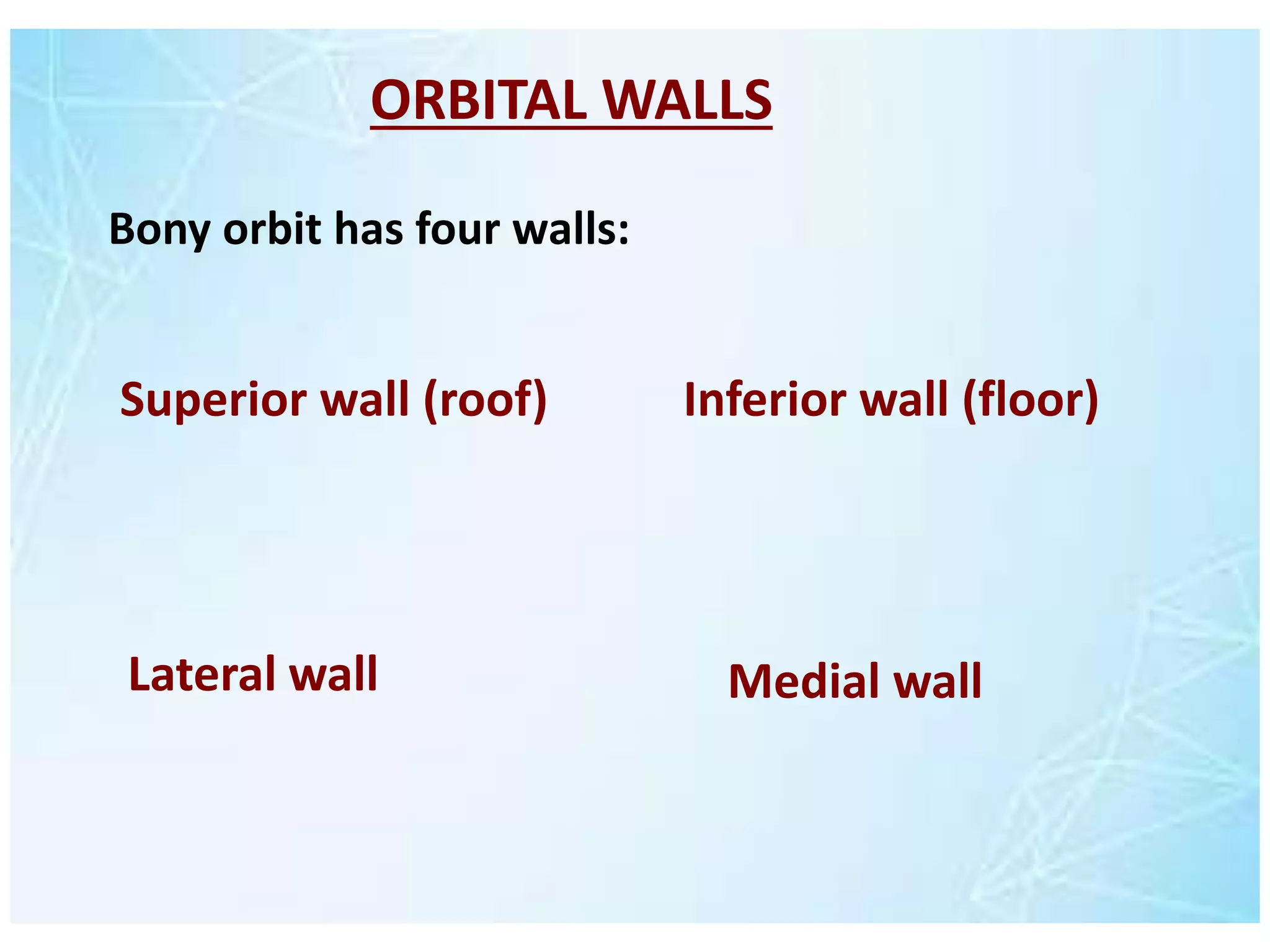 Anatomy of orbit presentation.pptx