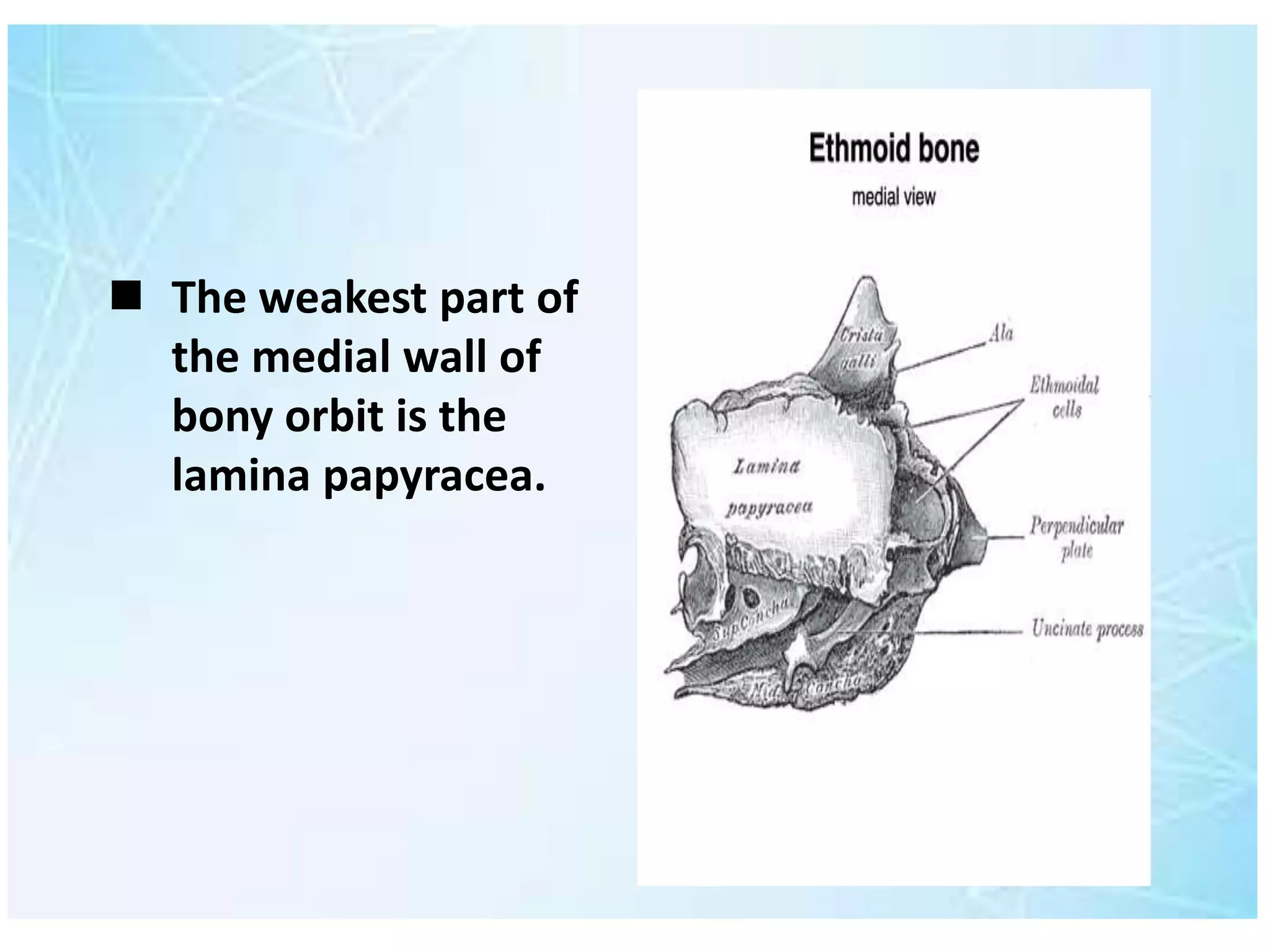 Anatomy of orbit presentation.pptx
