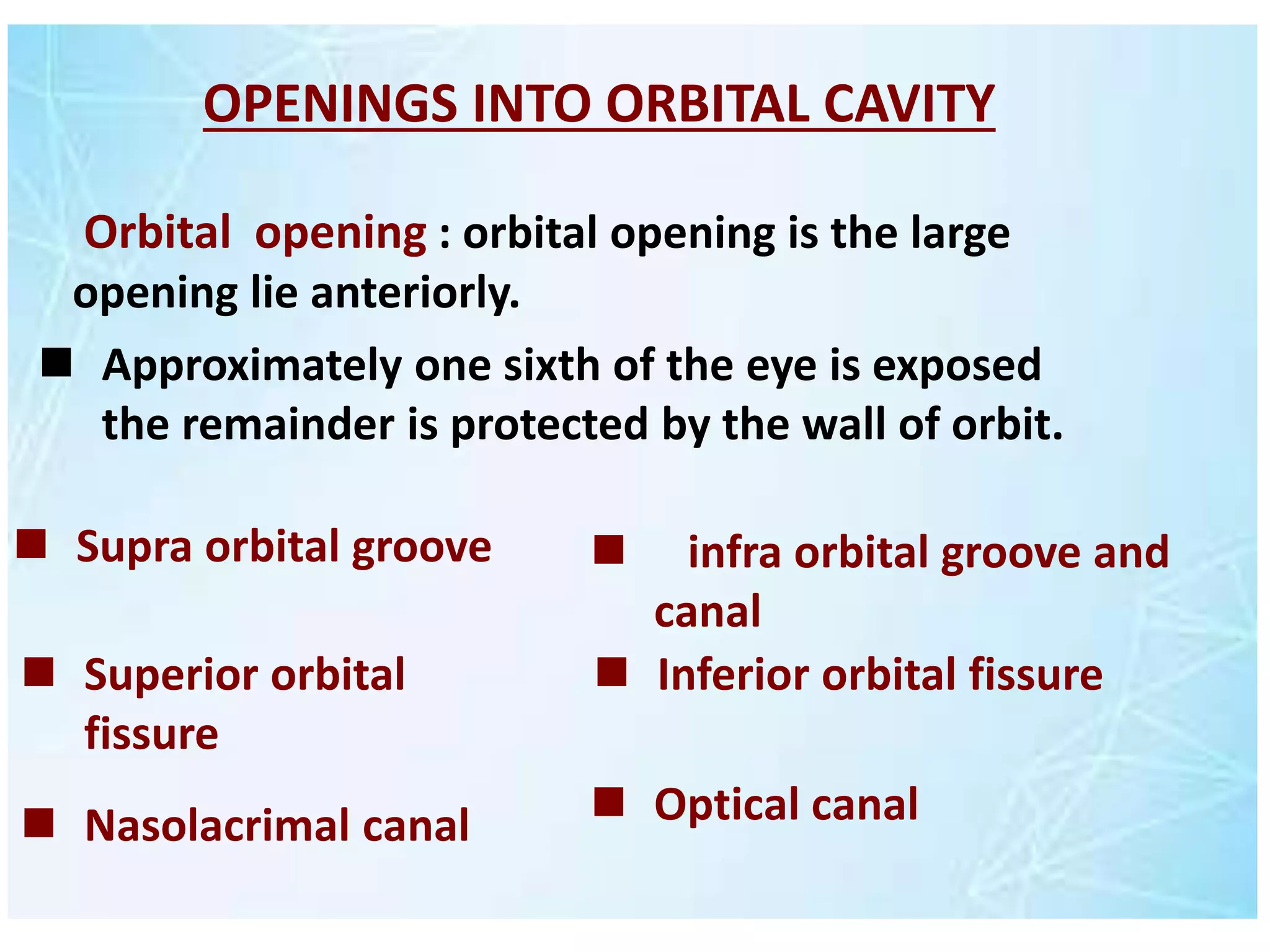 Anatomy of orbit presentation.pptx