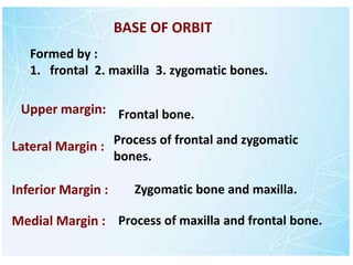 Anatomy of orbit presentation.pptx
