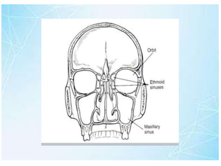 Anatomy of orbit presentation.pptx
