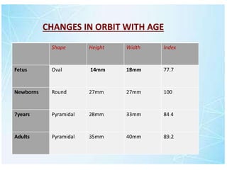 Anatomy of orbit presentation.pptx