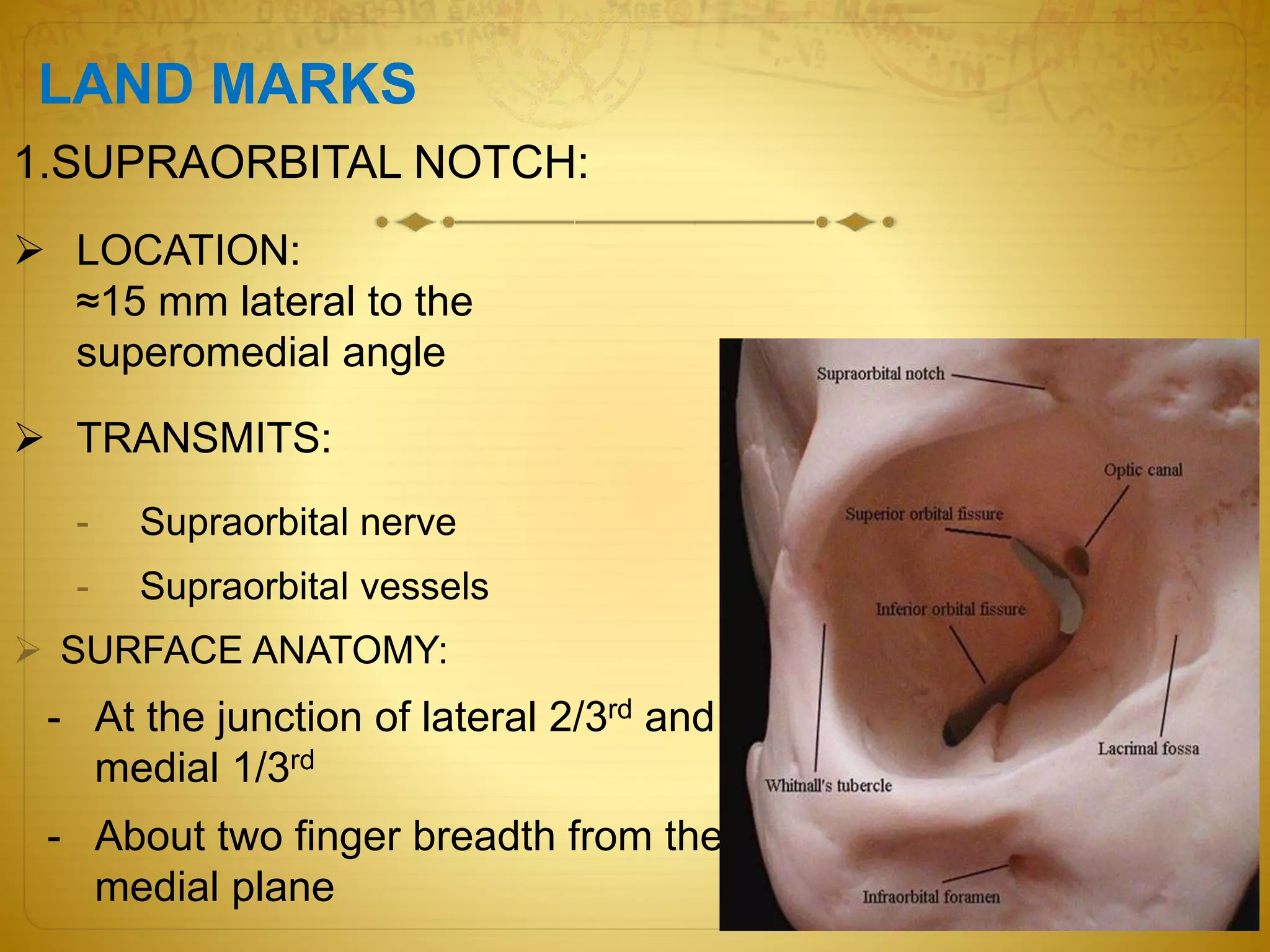 Anatomy OF ORBIT | PPTX