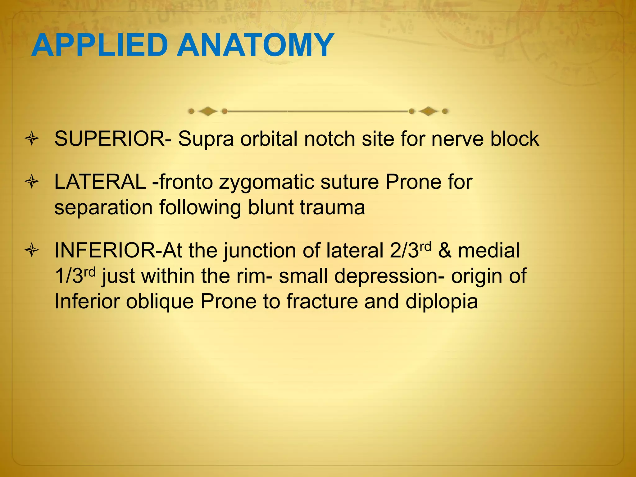 Anatomy OF ORBIT | PPTX
