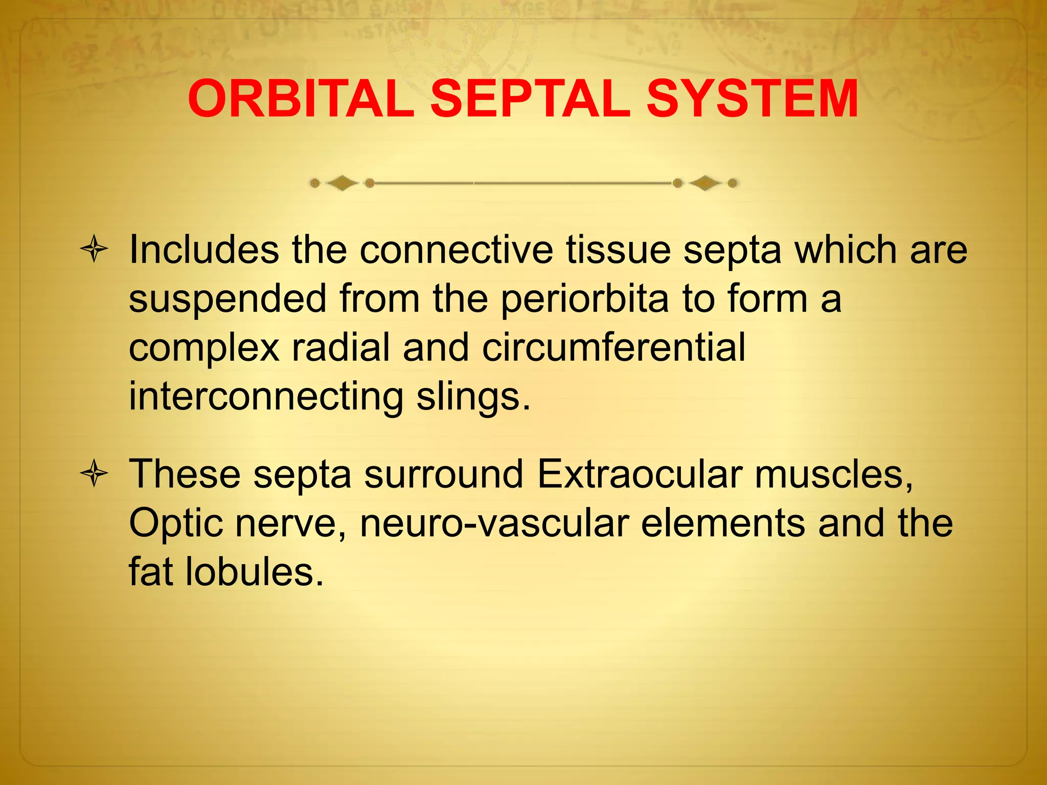 Anatomy OF ORBIT | PPTX