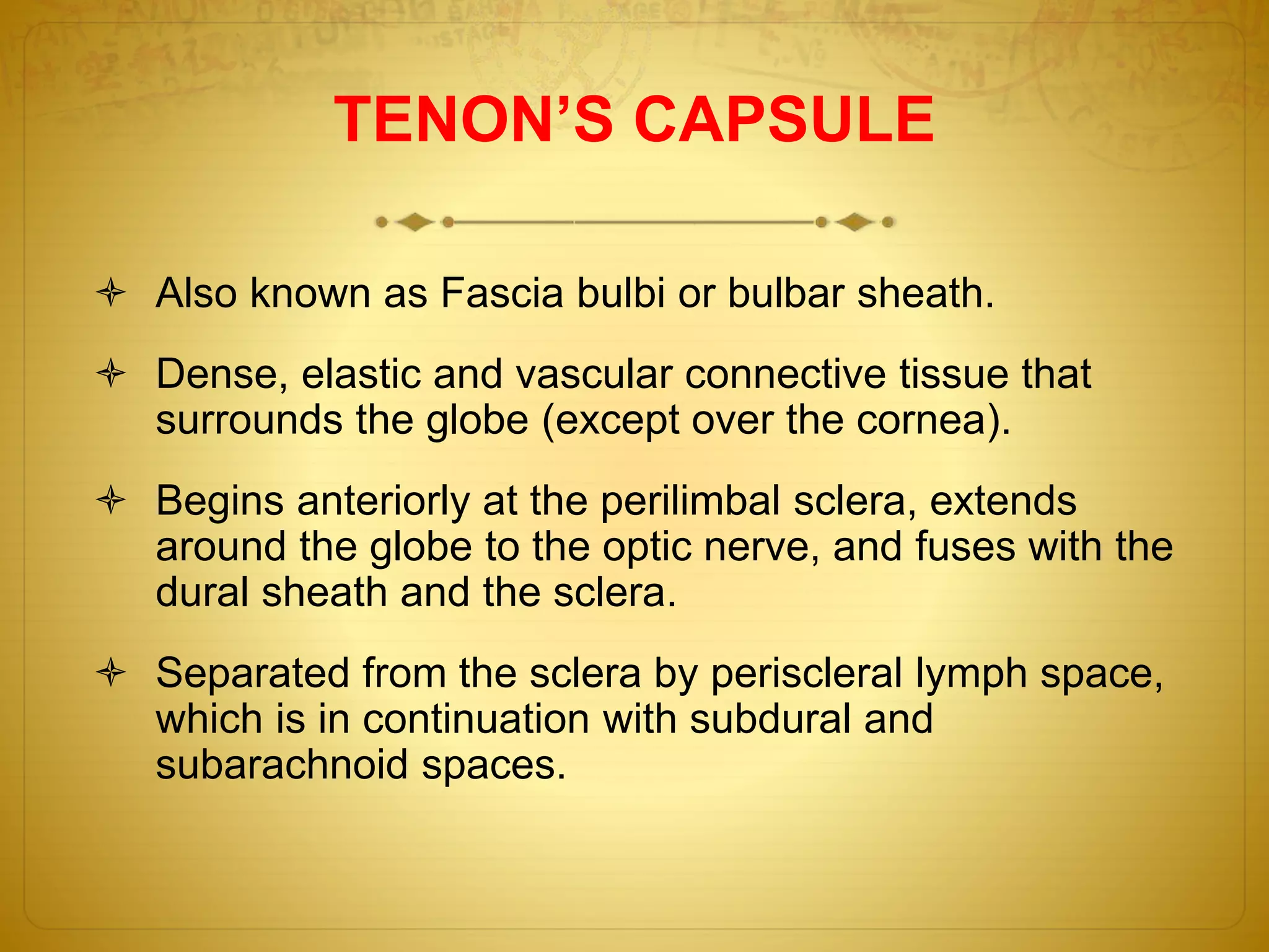 Anatomy OF ORBIT | PPTX
