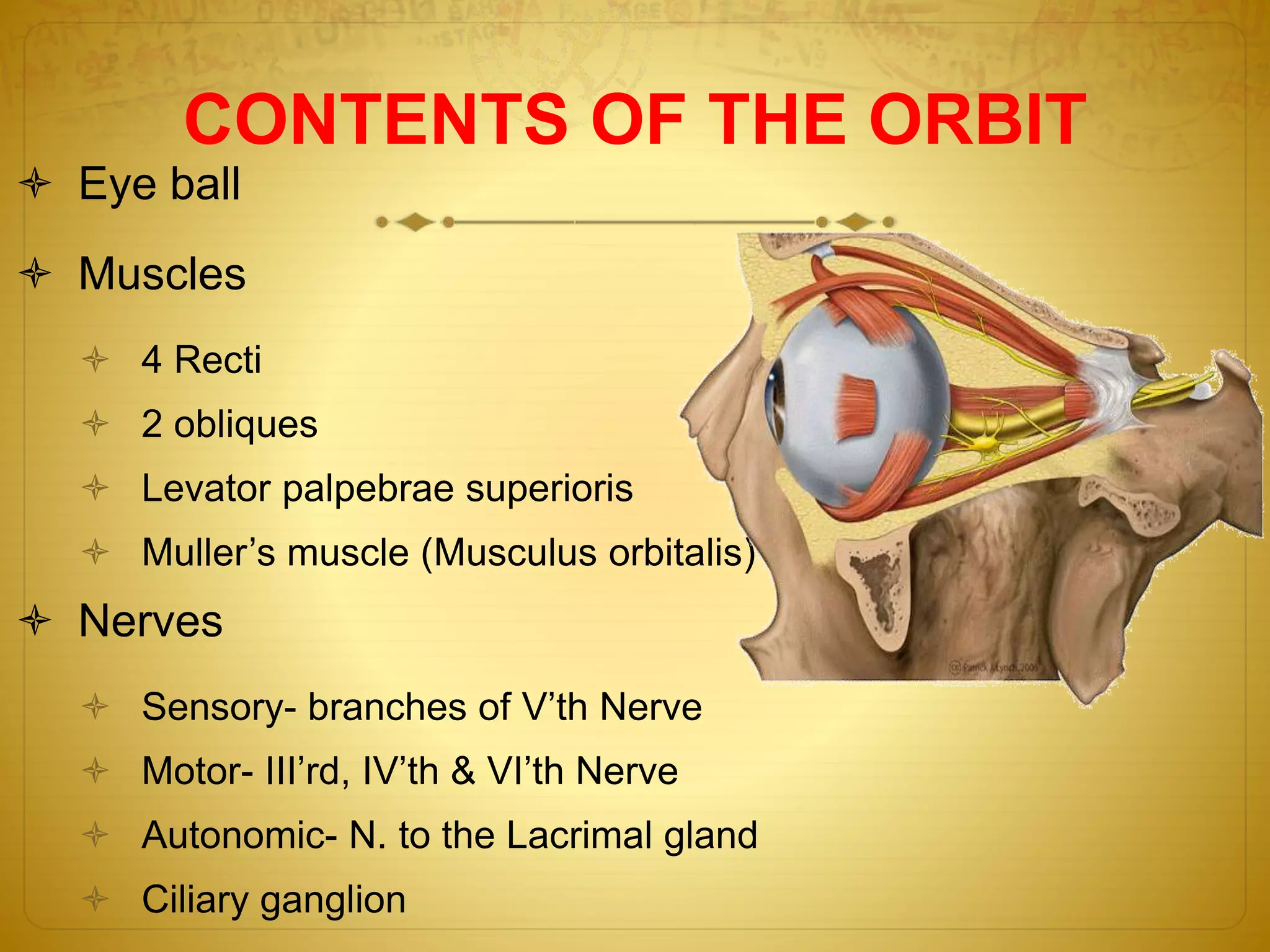 Anatomy OF ORBIT | PPTX
